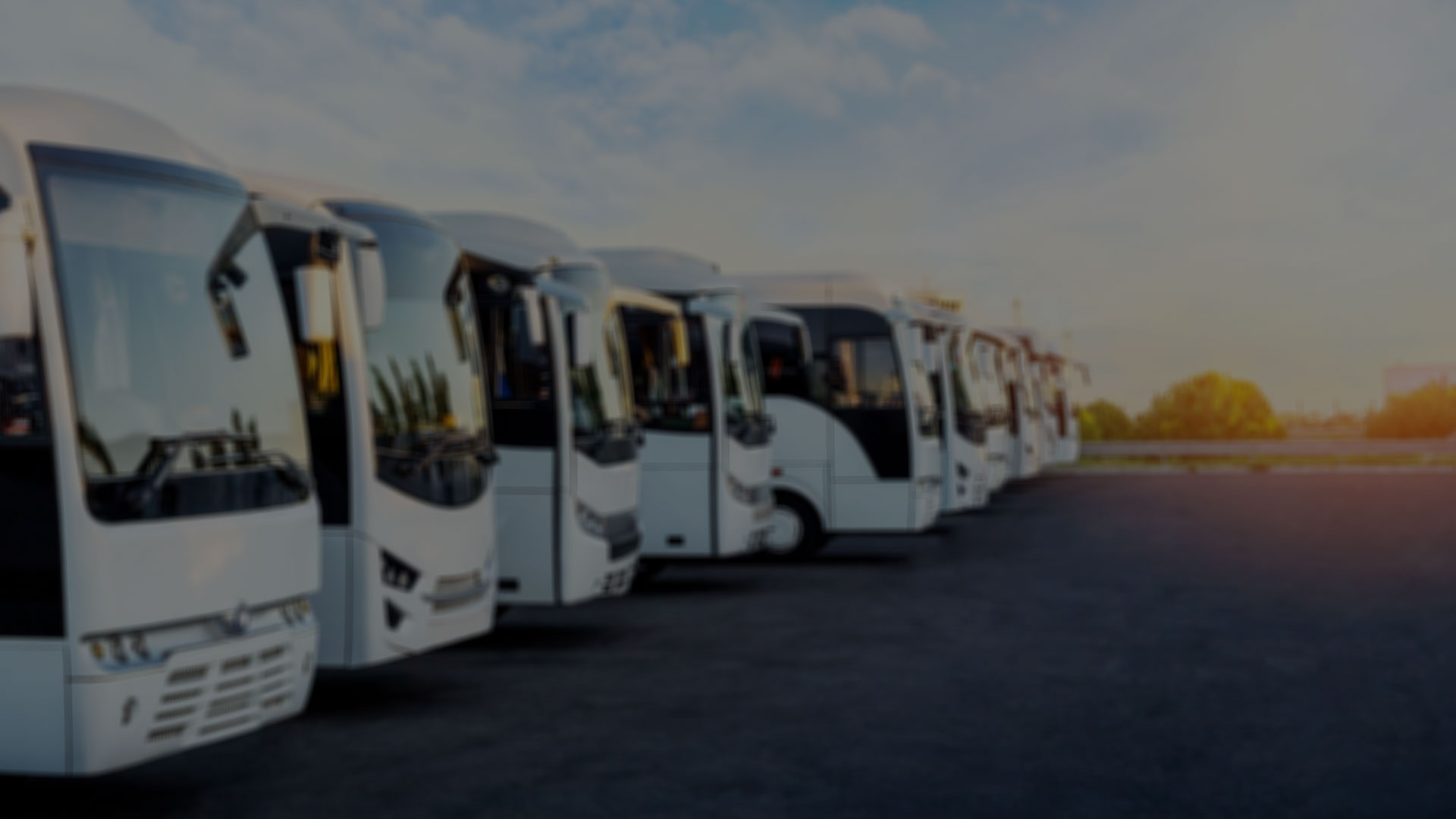 Vehicle Listings | The Manchester Coach Company